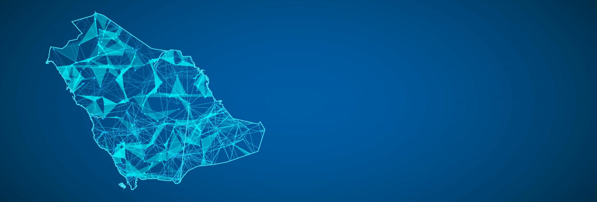 KSA's Leading Digital Transformation Enabler | NourNet