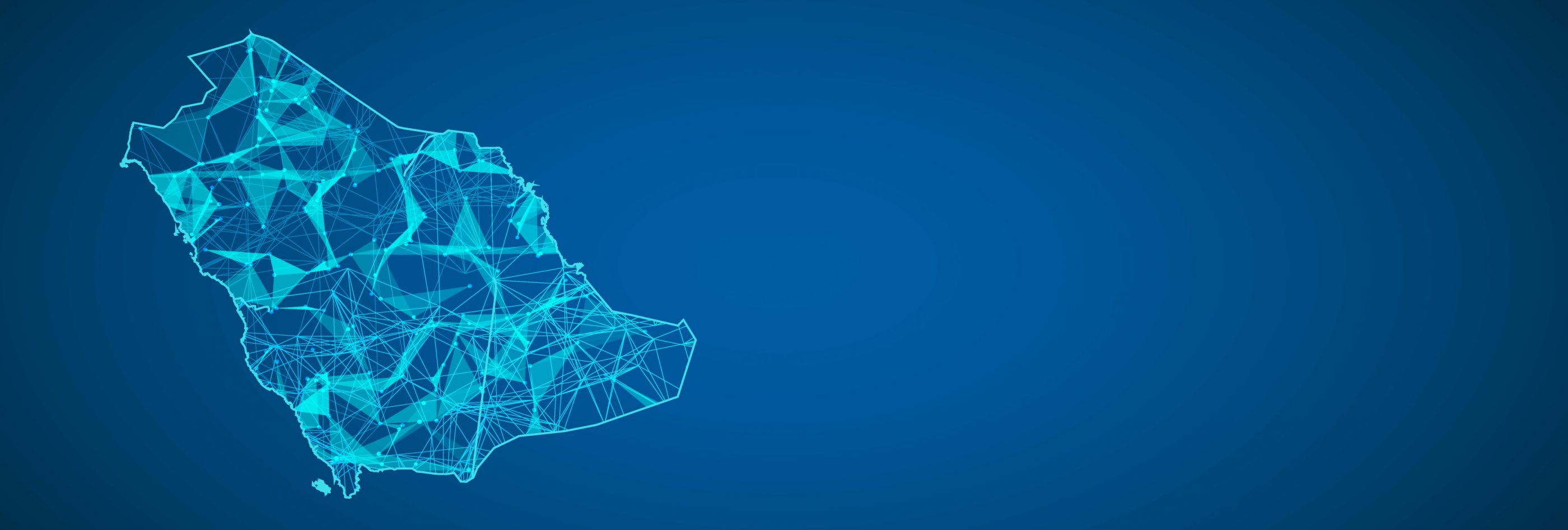 KSA's Leading Digital Transformation Enabler | NourNet